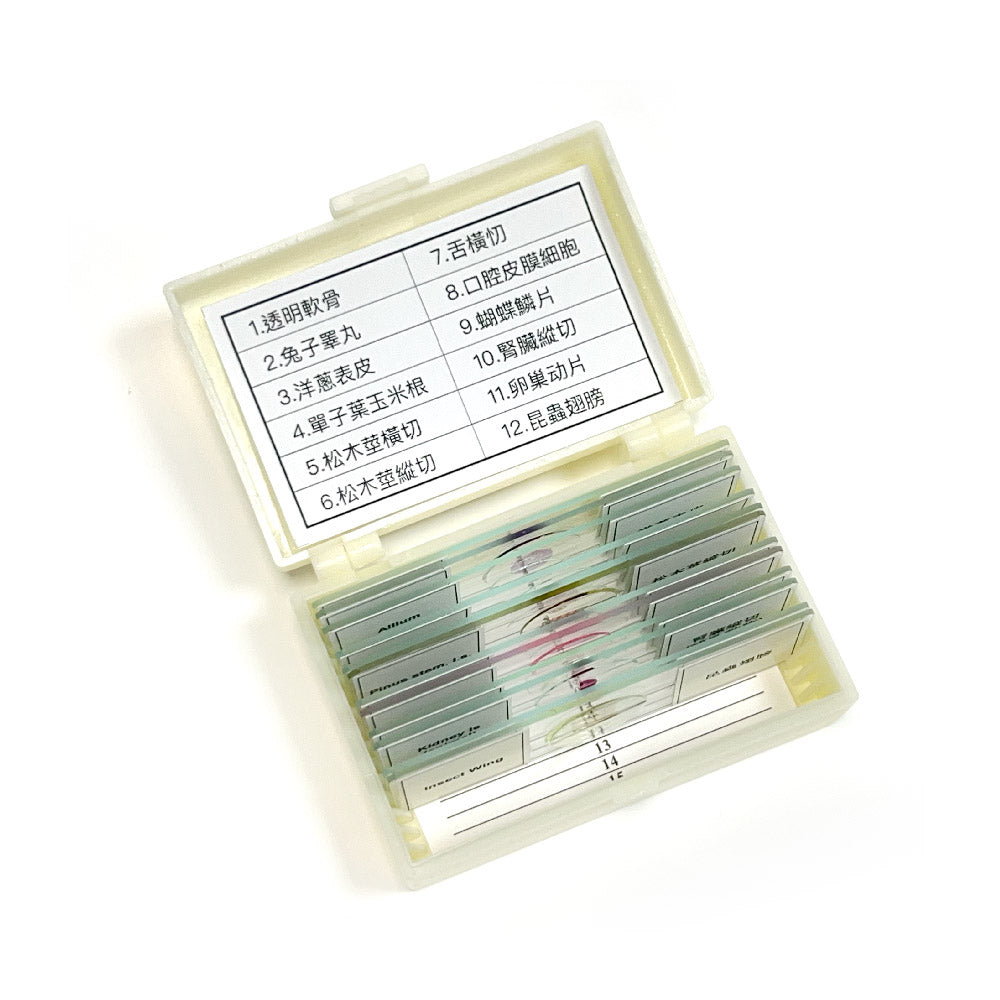 MICROTECH slice storage box (25 slices) – 上宸光學-顯微鏡、望遠鏡專賣店